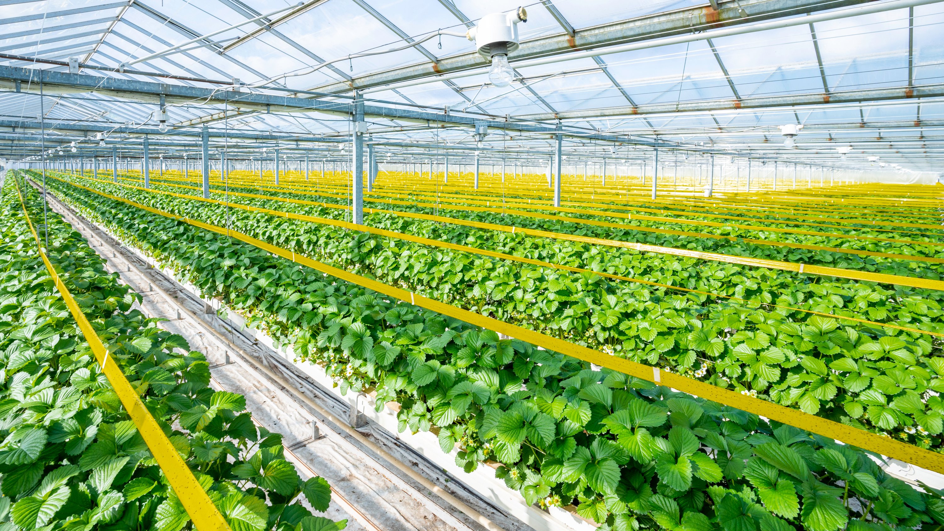 Moleaer | Tecnología Avanzada de Nanoburbujas