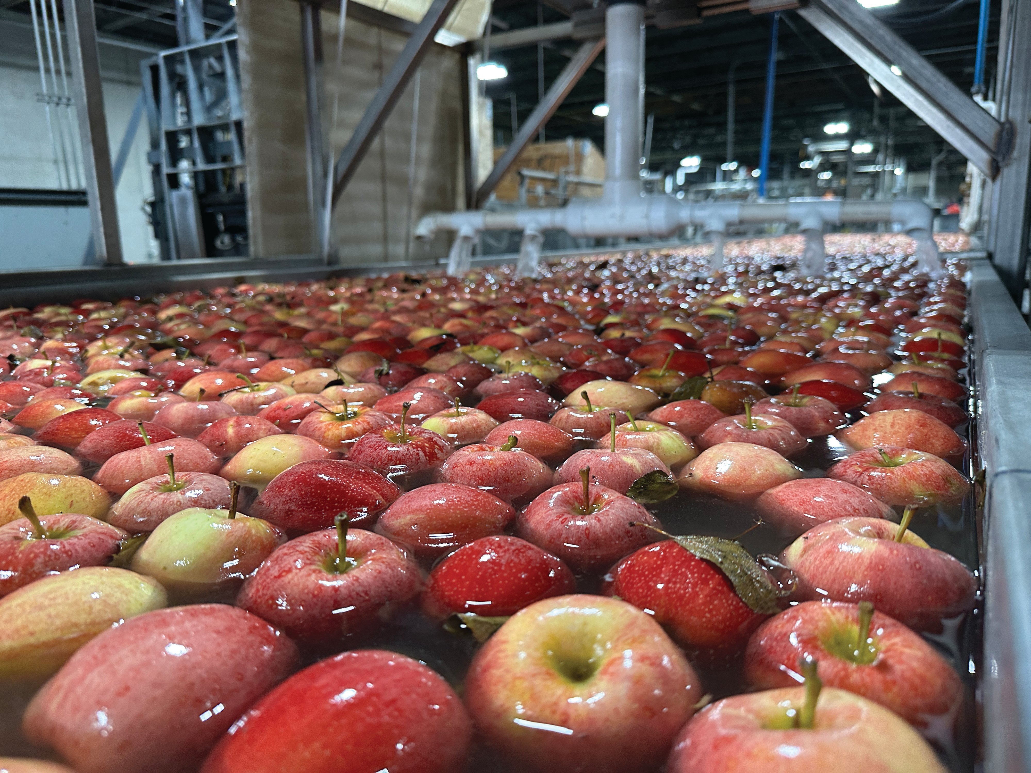 Moleaer | Tecnología Avanzada de Nanoburbujas