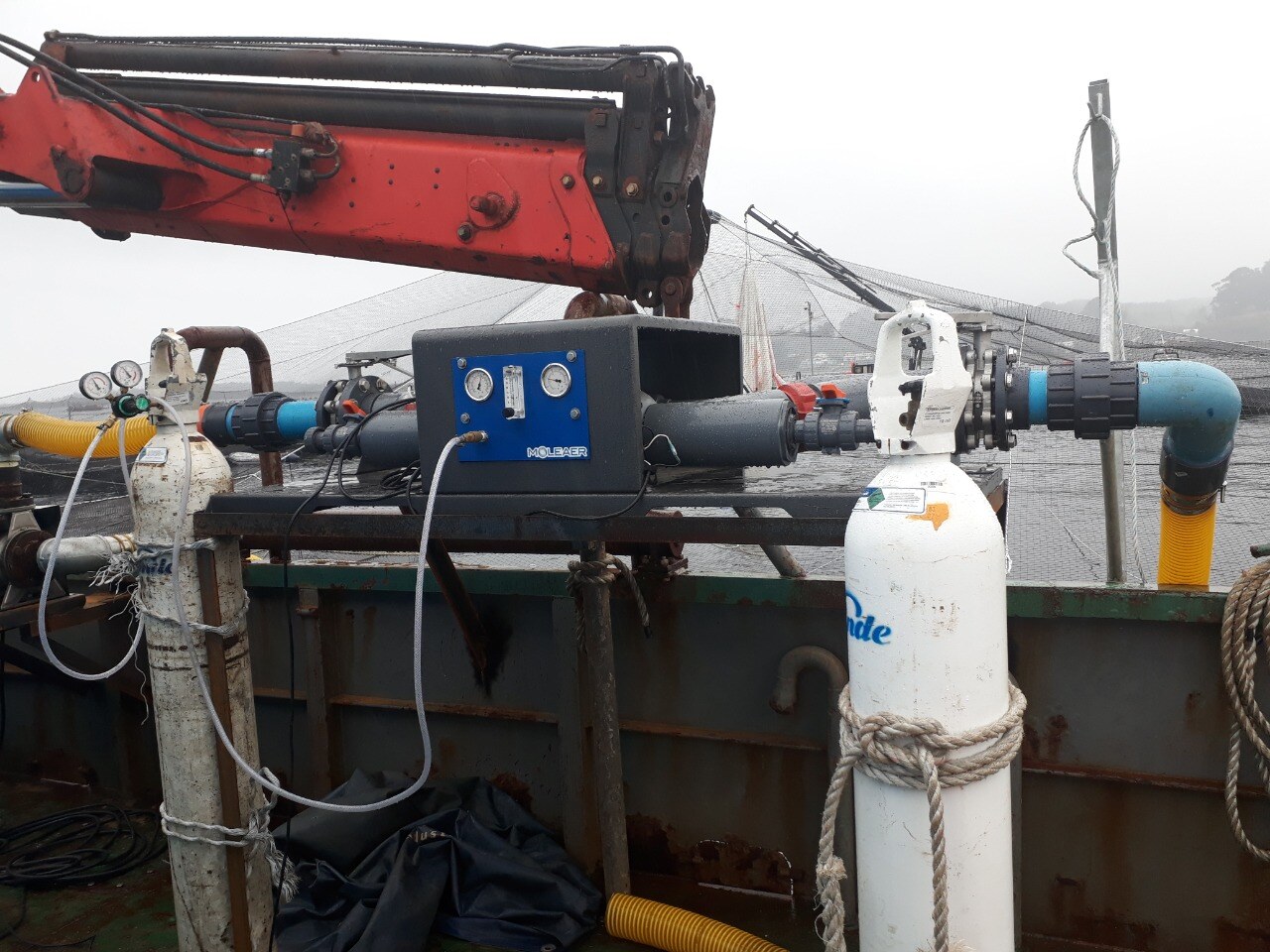 Moleaer | Innovación y Tecnología de Nanoburbujas